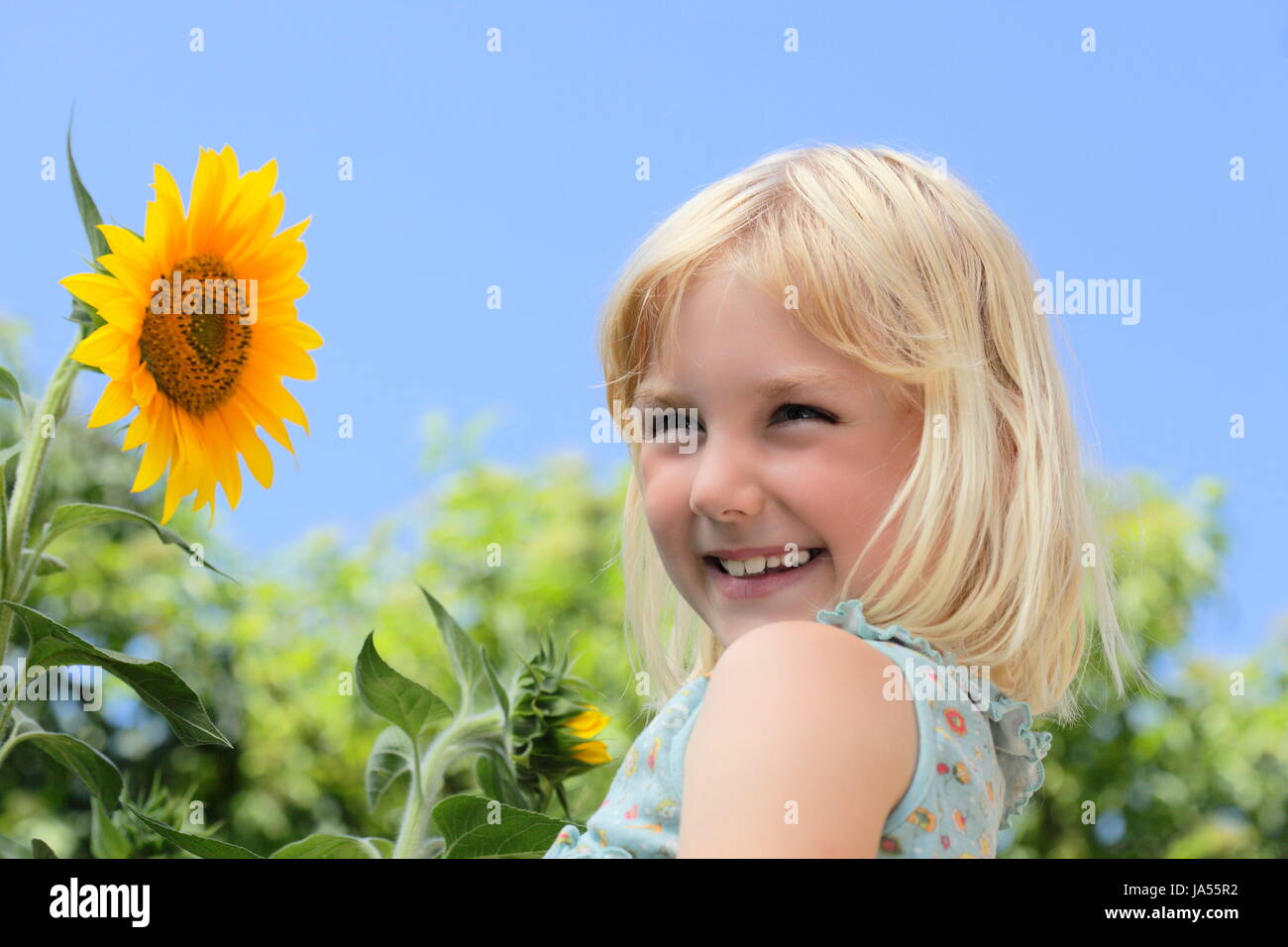 Summer_sun hi-res stock photography and images - Alamy