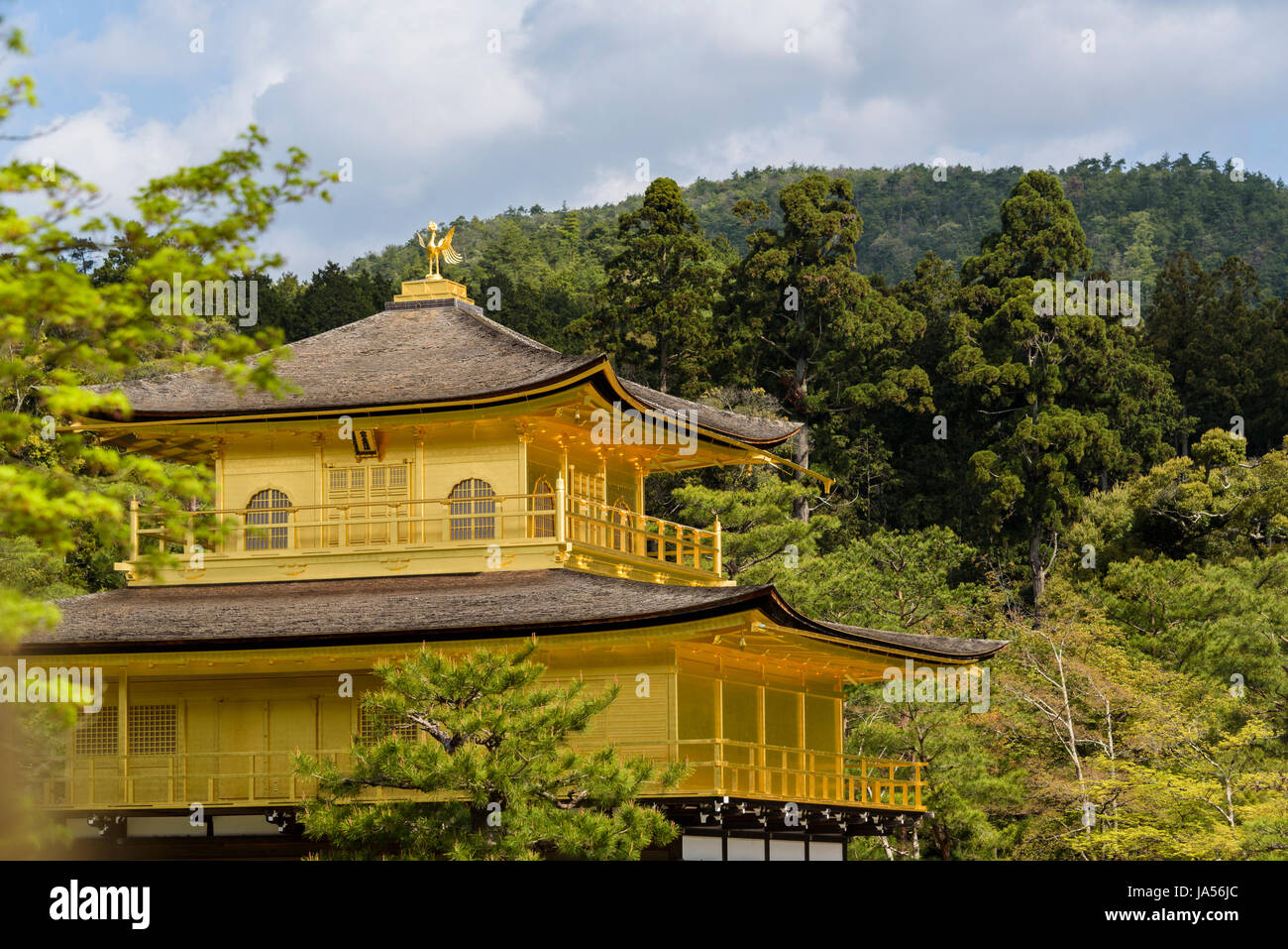 Golden Pavilion, Kyoto, Japanese architecture. Mirror Pond. Typical ...