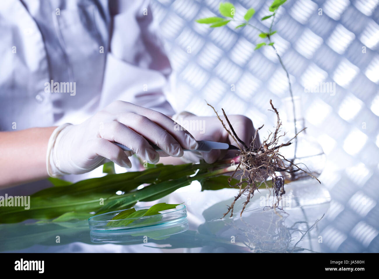 eco, medicinally, medical, experiment, research, laboratory, chemistry ...