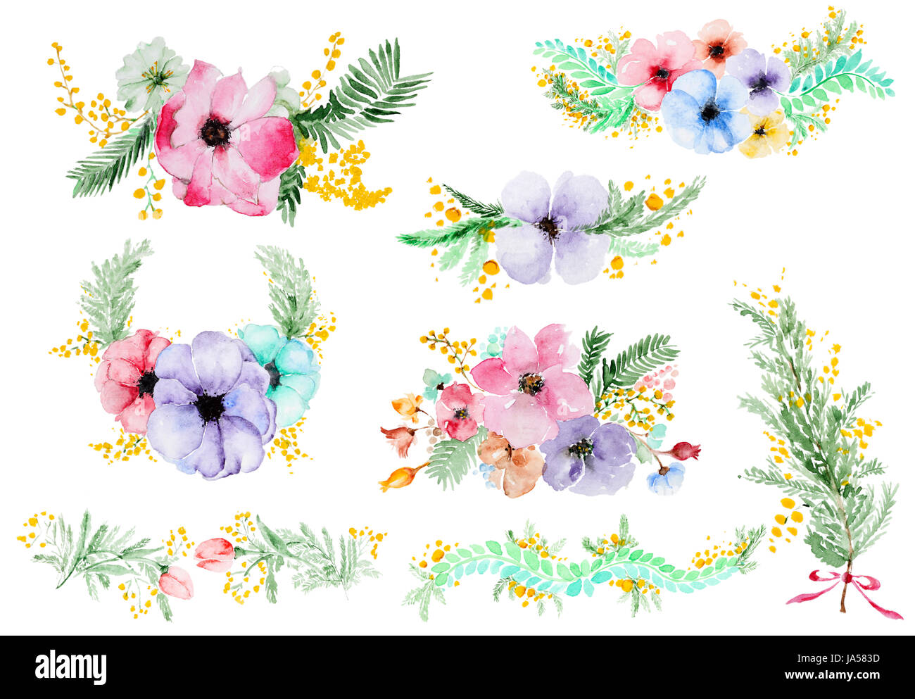 watercolor flowers set Stock Photo - Alamy
