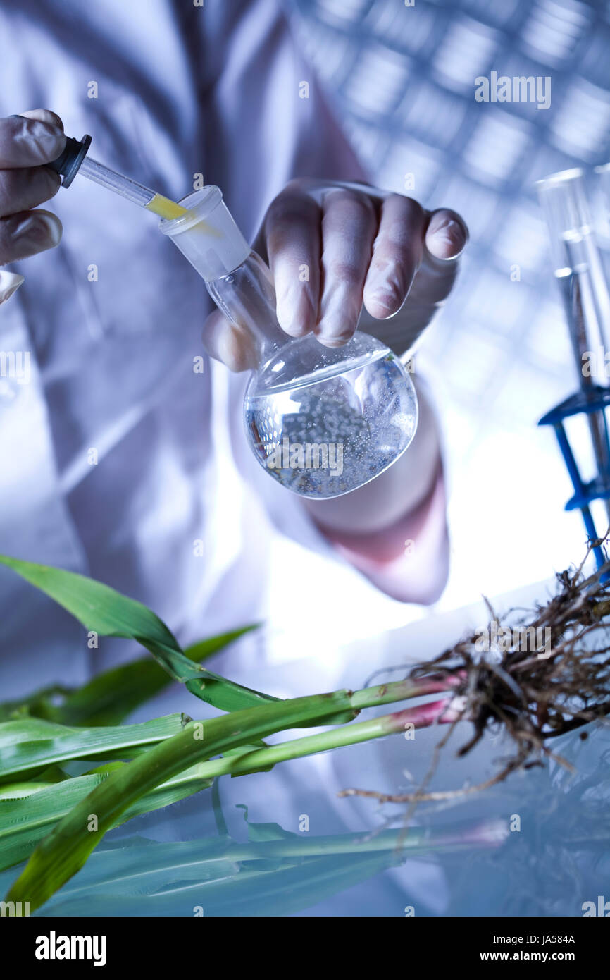 eco, medicinally, medical, experiment, research, laboratory, chemistry ...