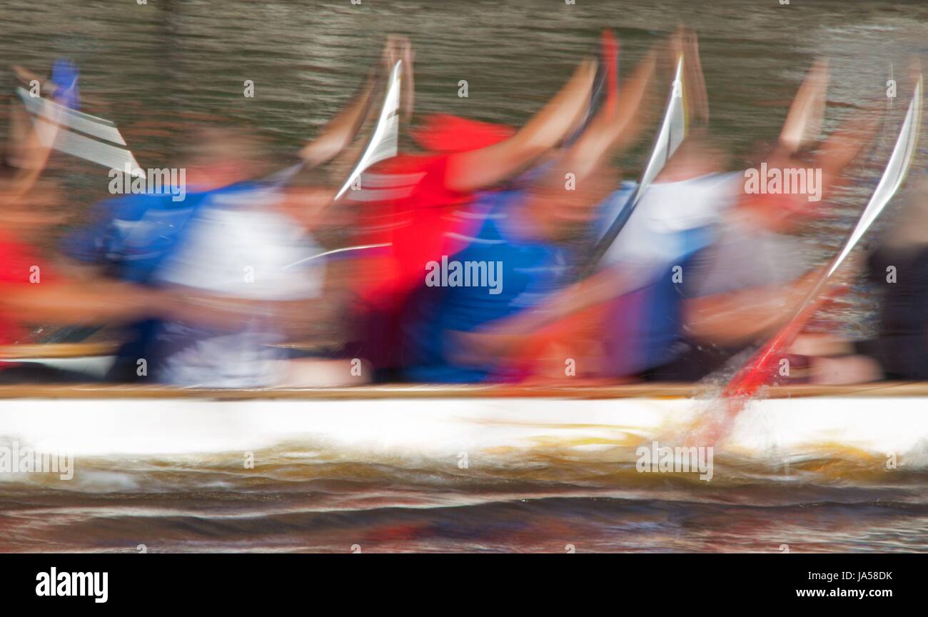 paddle, rowing boat, oar, row, dash, go quickly, fast, quick, quickly ...