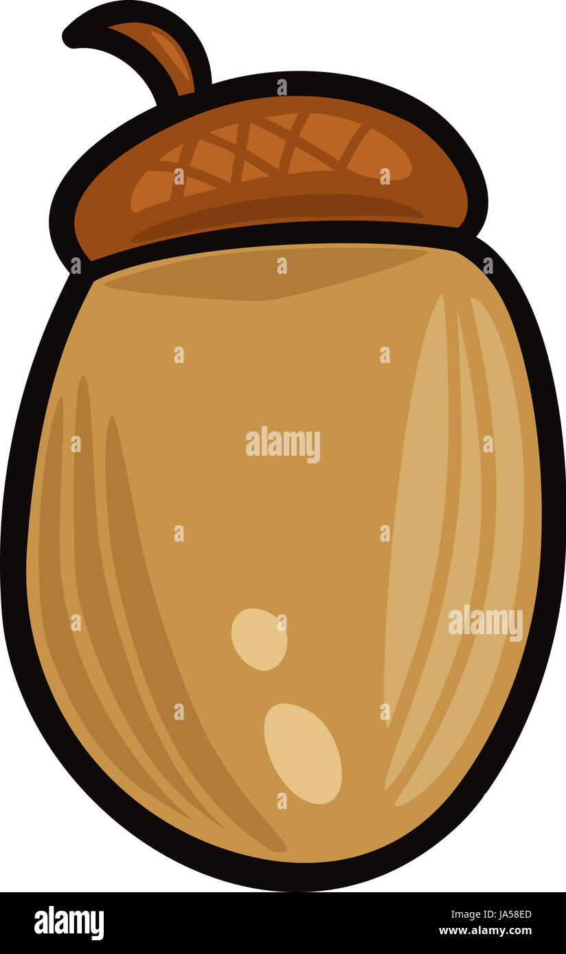 Cartoon Illustration of Acorn Clip Art Stock Photo - Alamy