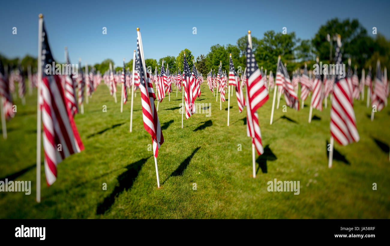 Single flag in focus in a field of flags Stock Photo - Alamy