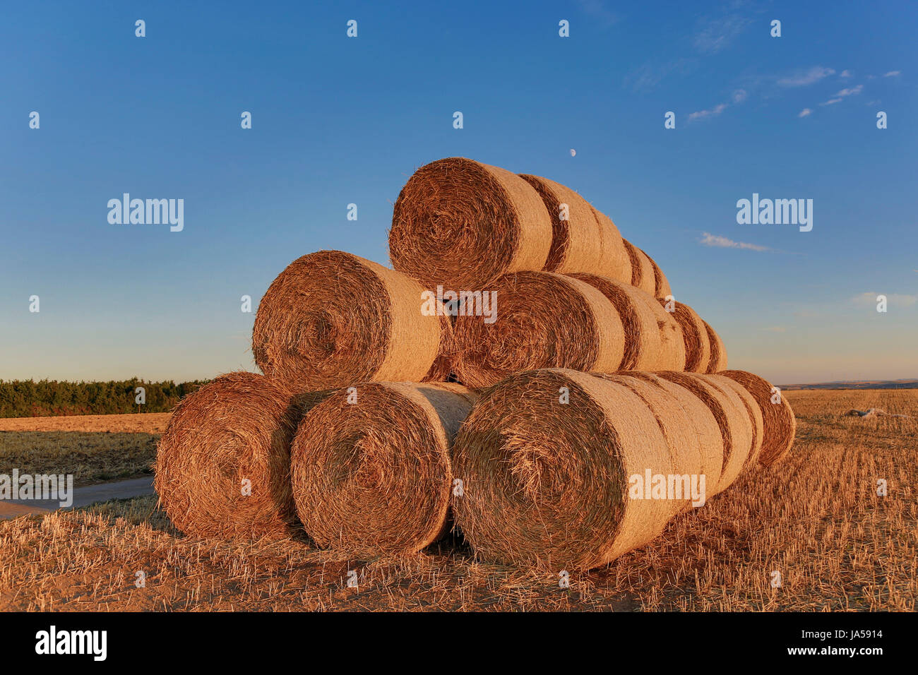 grain, corn field, straw ball, hay-clench, hay, straw, grain, corn ...