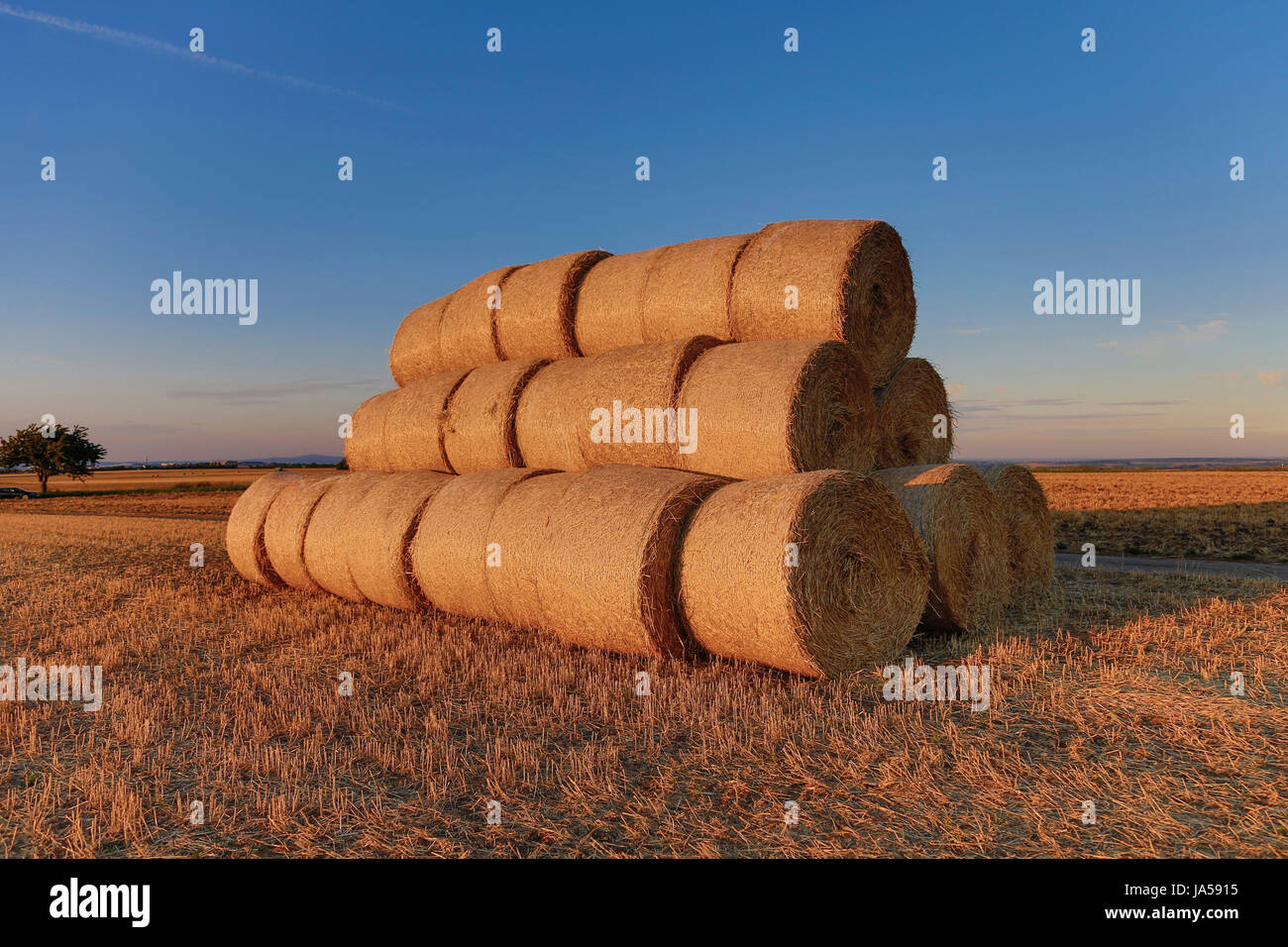 grain, corn field, straw ball, hay-clench, hay, straw, grain, corn ...