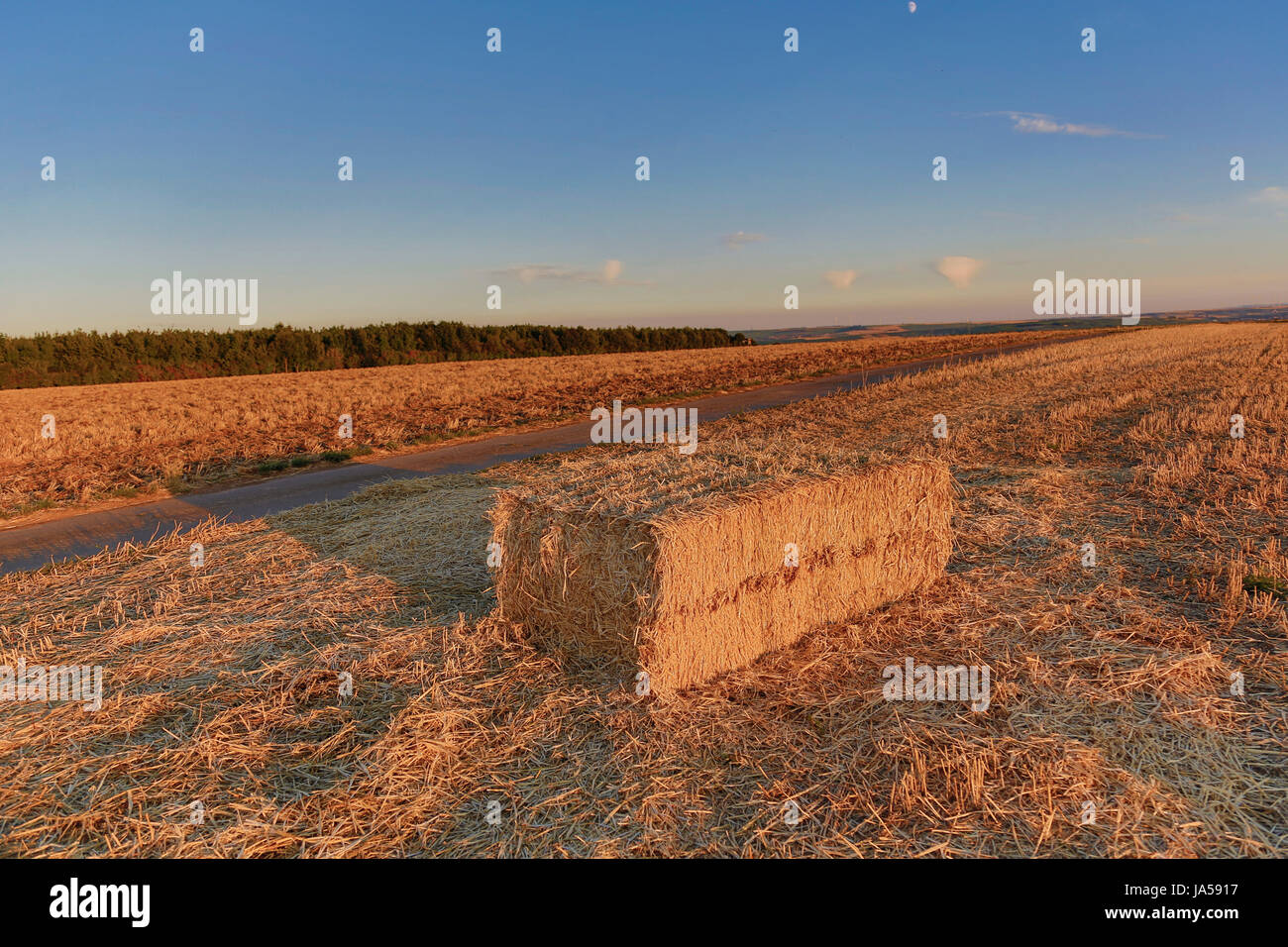 grain, corn field, straw ball, hay-clench, hay, straw, grain, corn ...