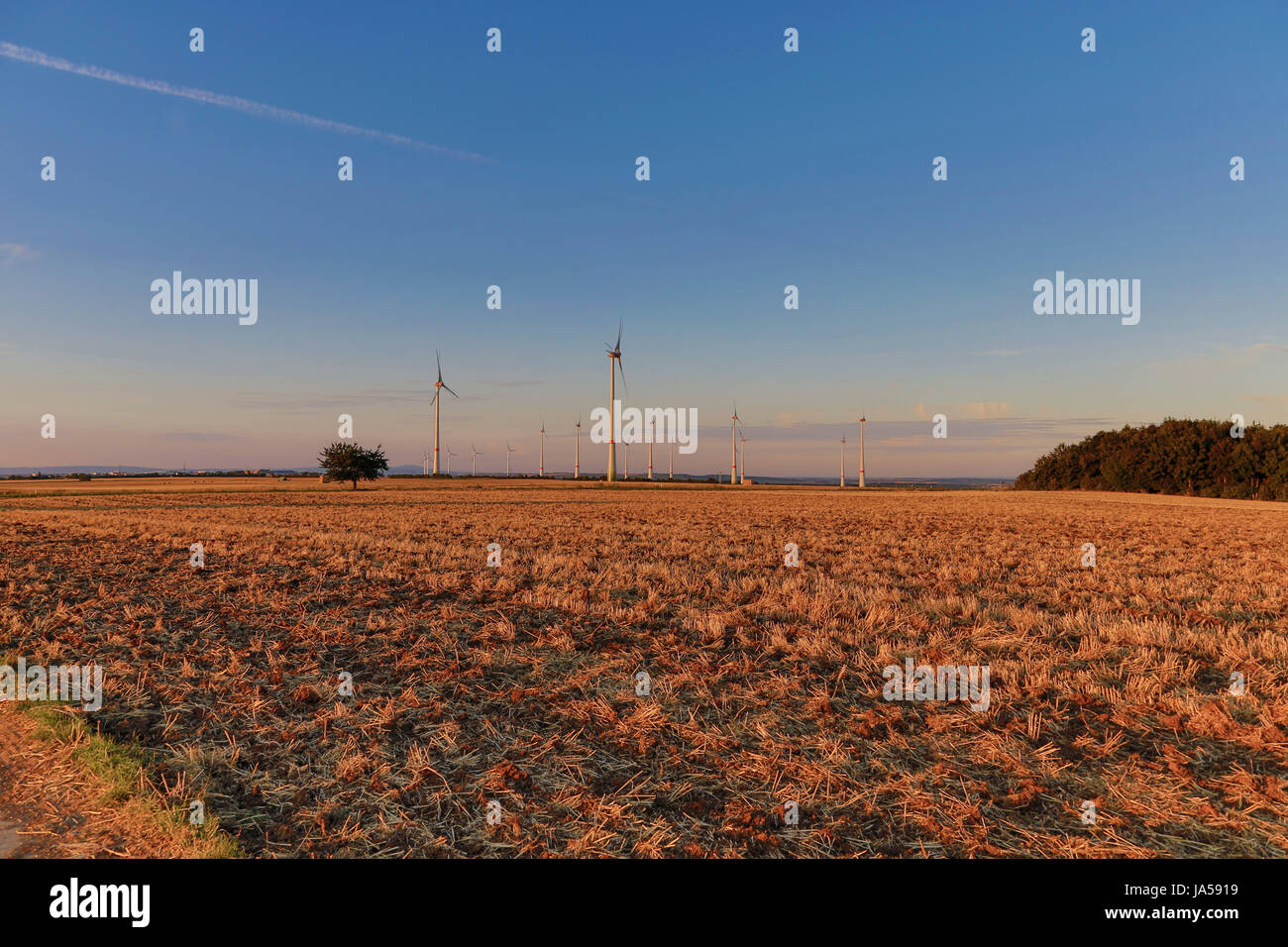 wind force, wind energy, wind engine, pinwheels, pinwheel, wind force ...