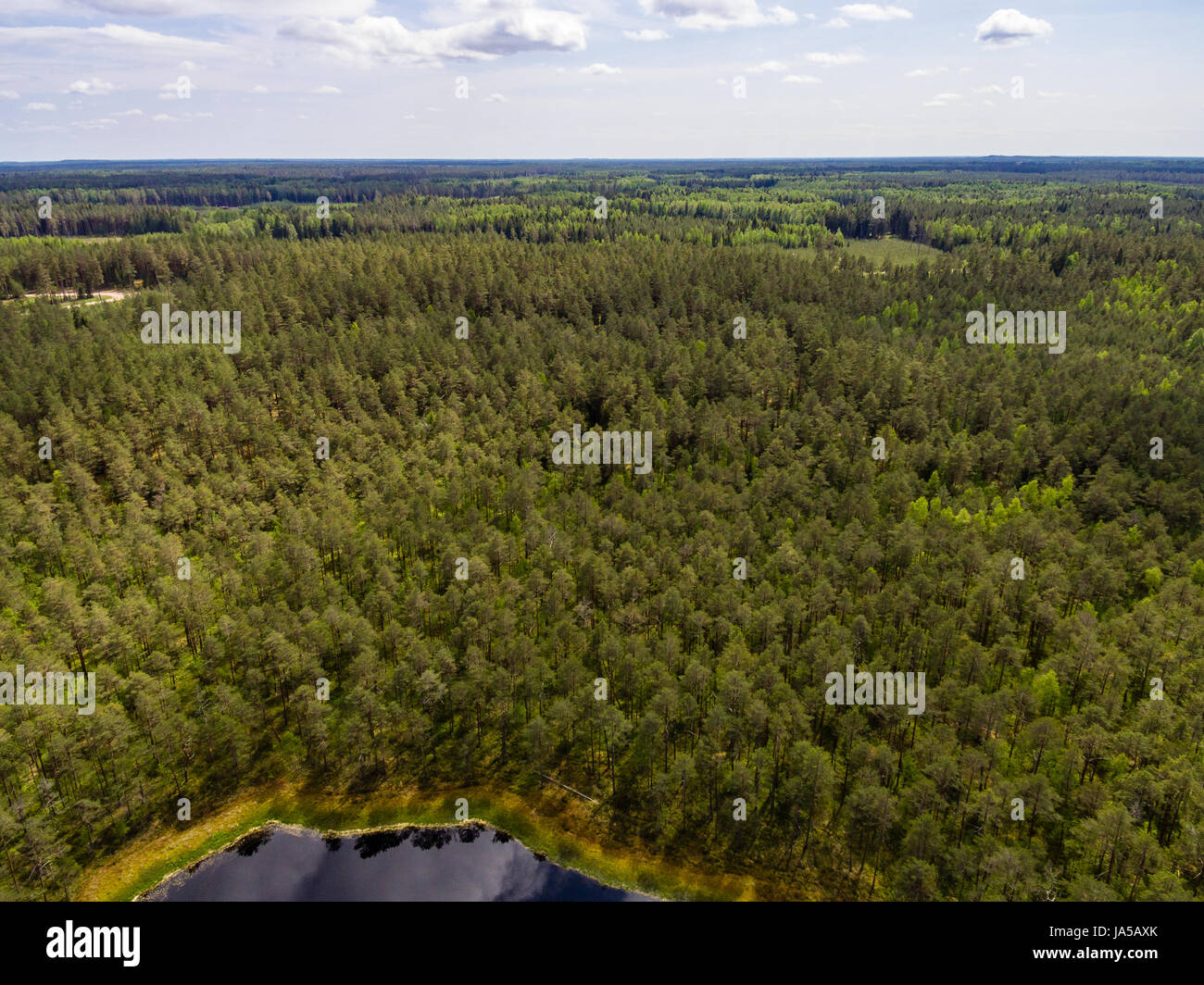 drone image. aerial view of rural area with blue lake and forest in ...