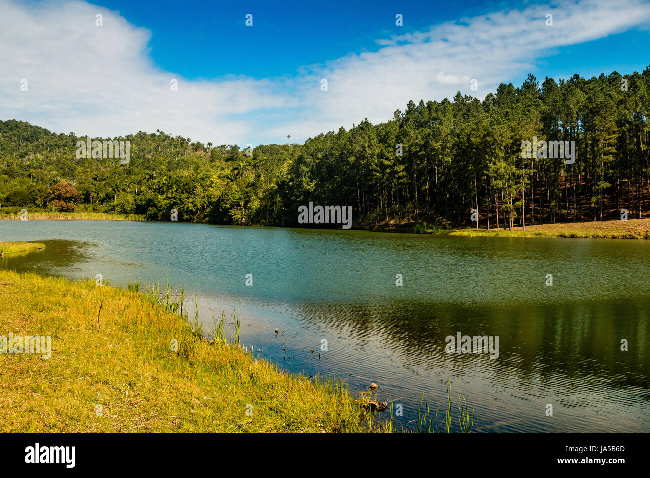 View of lake, Las Terrazas, pioneering eco-friendly village, Pinar del ...