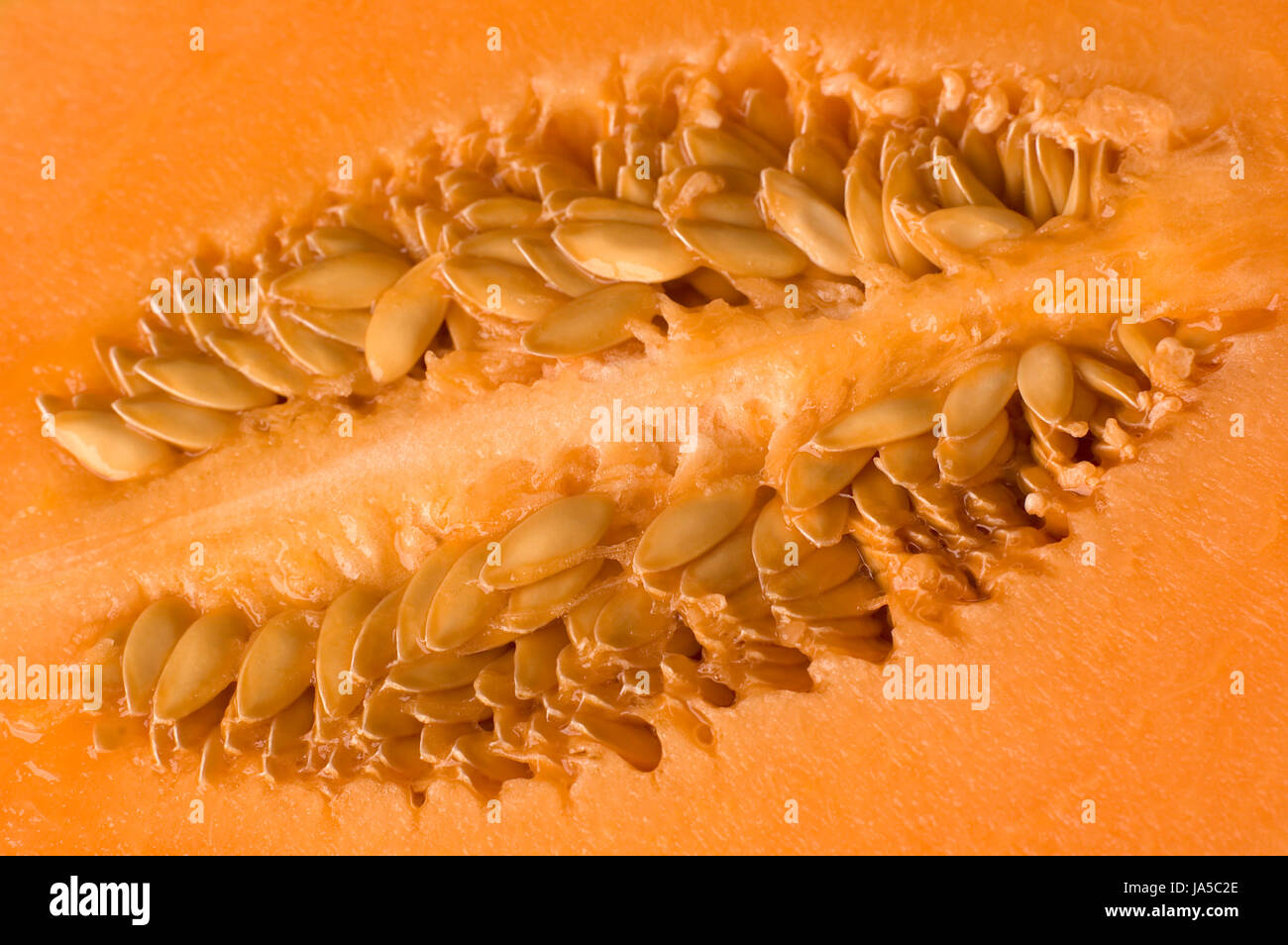 freshly cut yellow melon close up shoot Stock Photo - Alamy