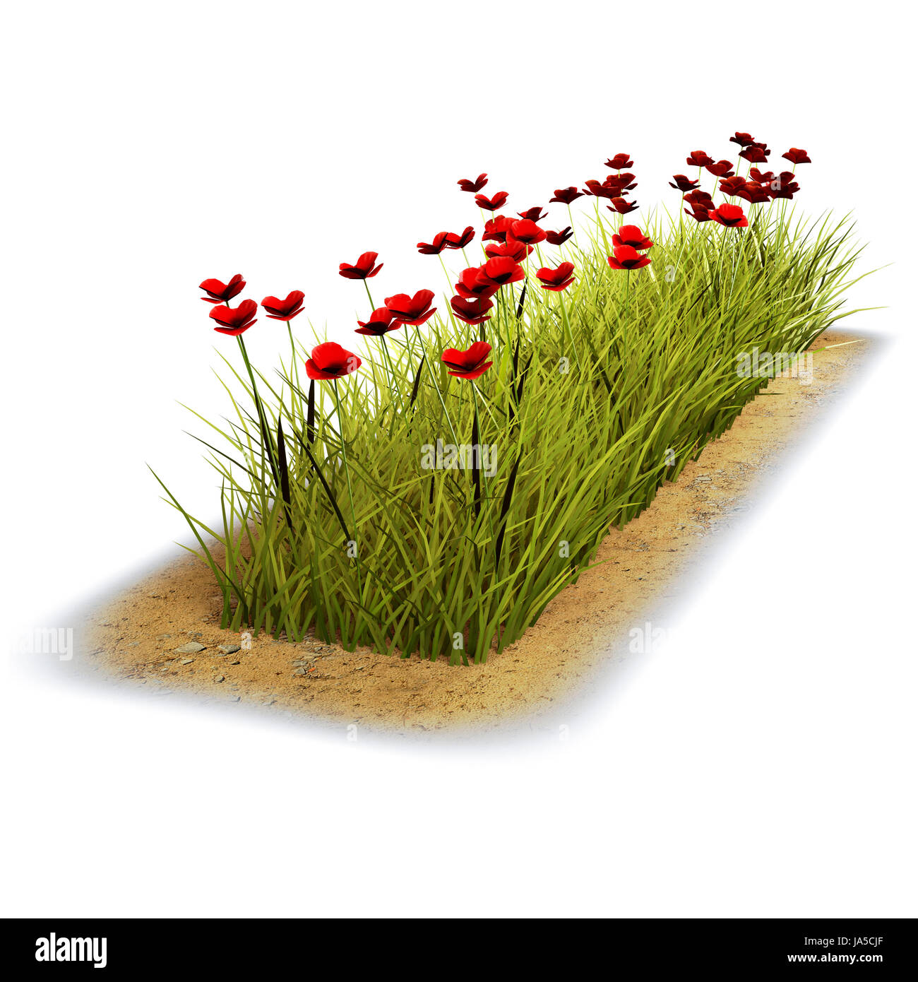 beautiful, beauteously, nice, isolated, colour, garden, ground, soil ...