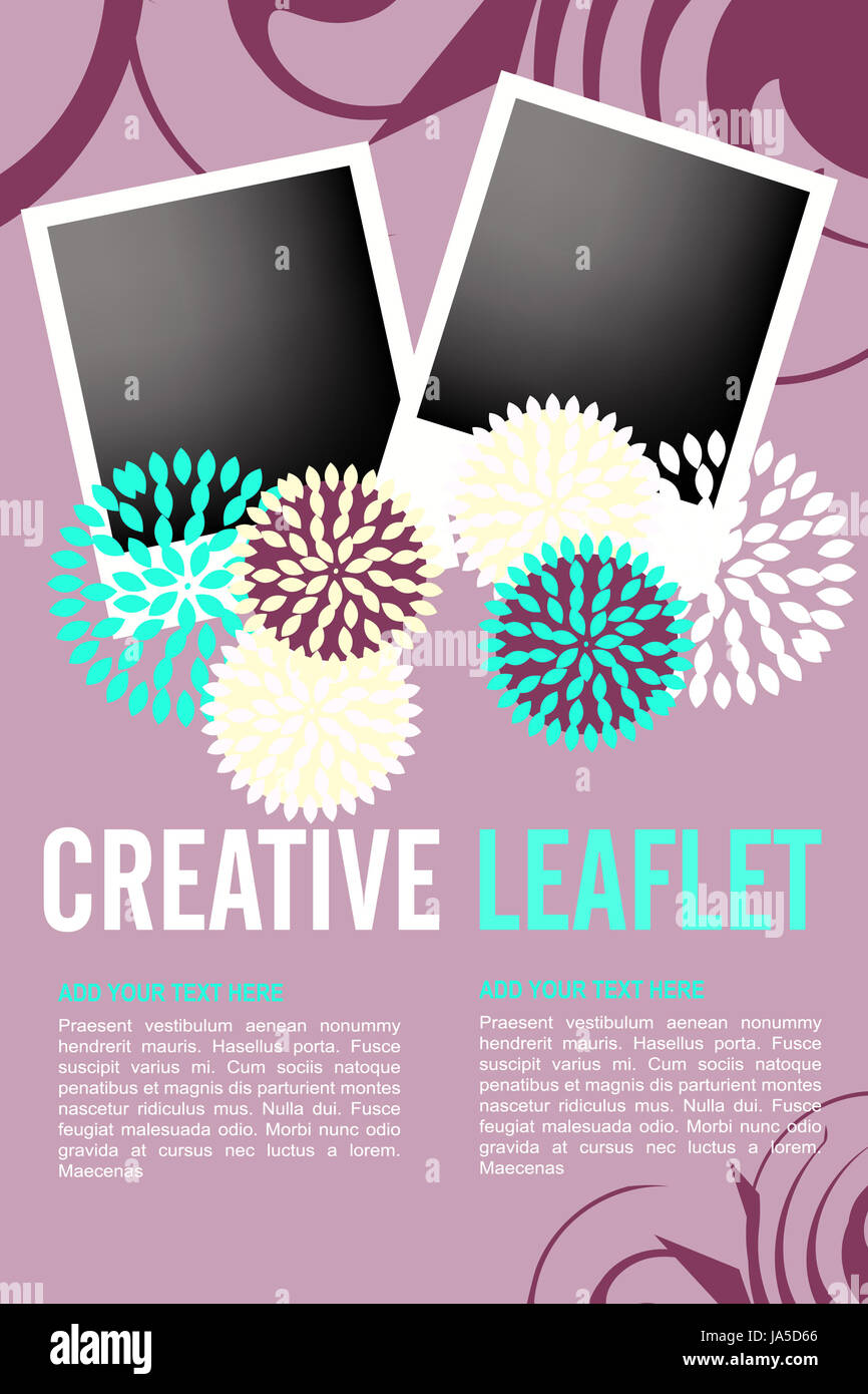 presentation, beautiful, beauteously, nice, brochure, art, model ...