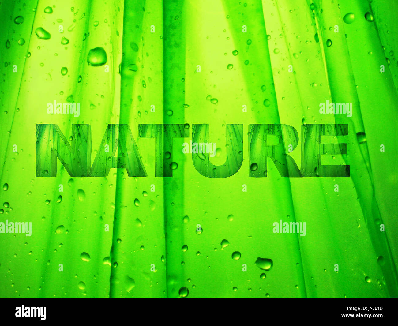 environment, enviroment, ecology, nature, green, eco, environment ...