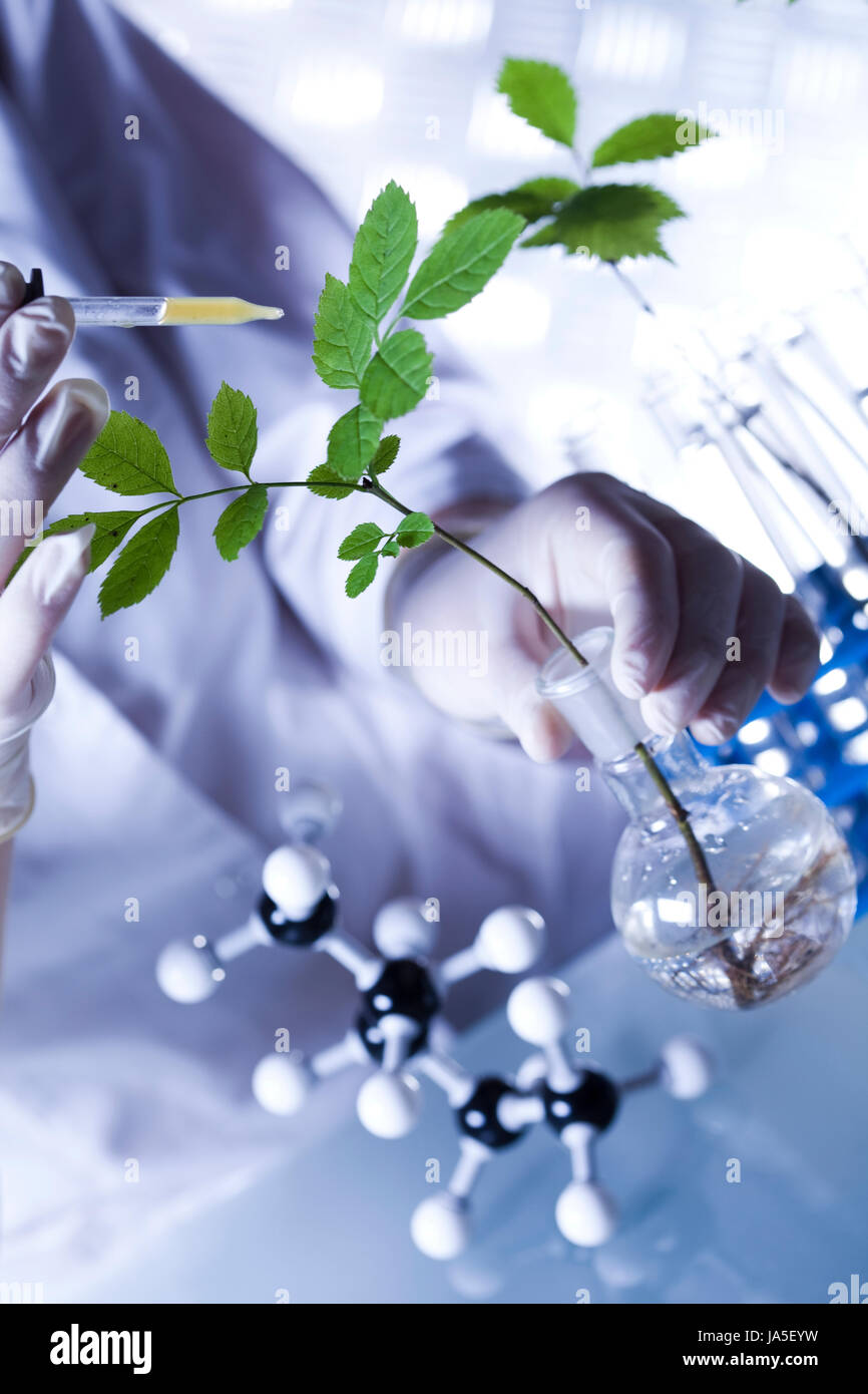 eco, medicinally, medical, experiment, research, laboratory, chemistry ...