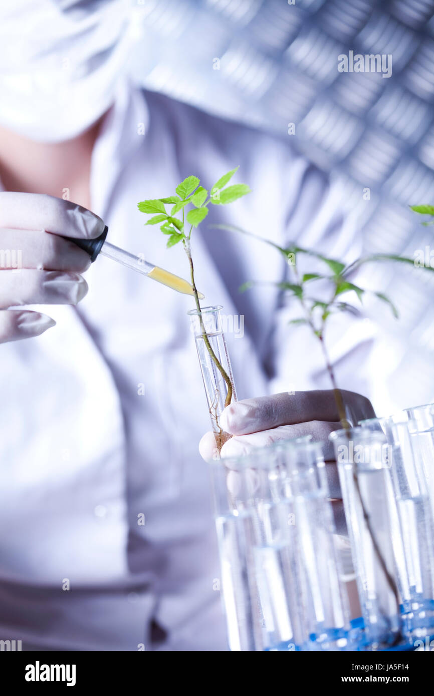 eco, medicinally, medical, experiment, research, laboratory, chemistry ...