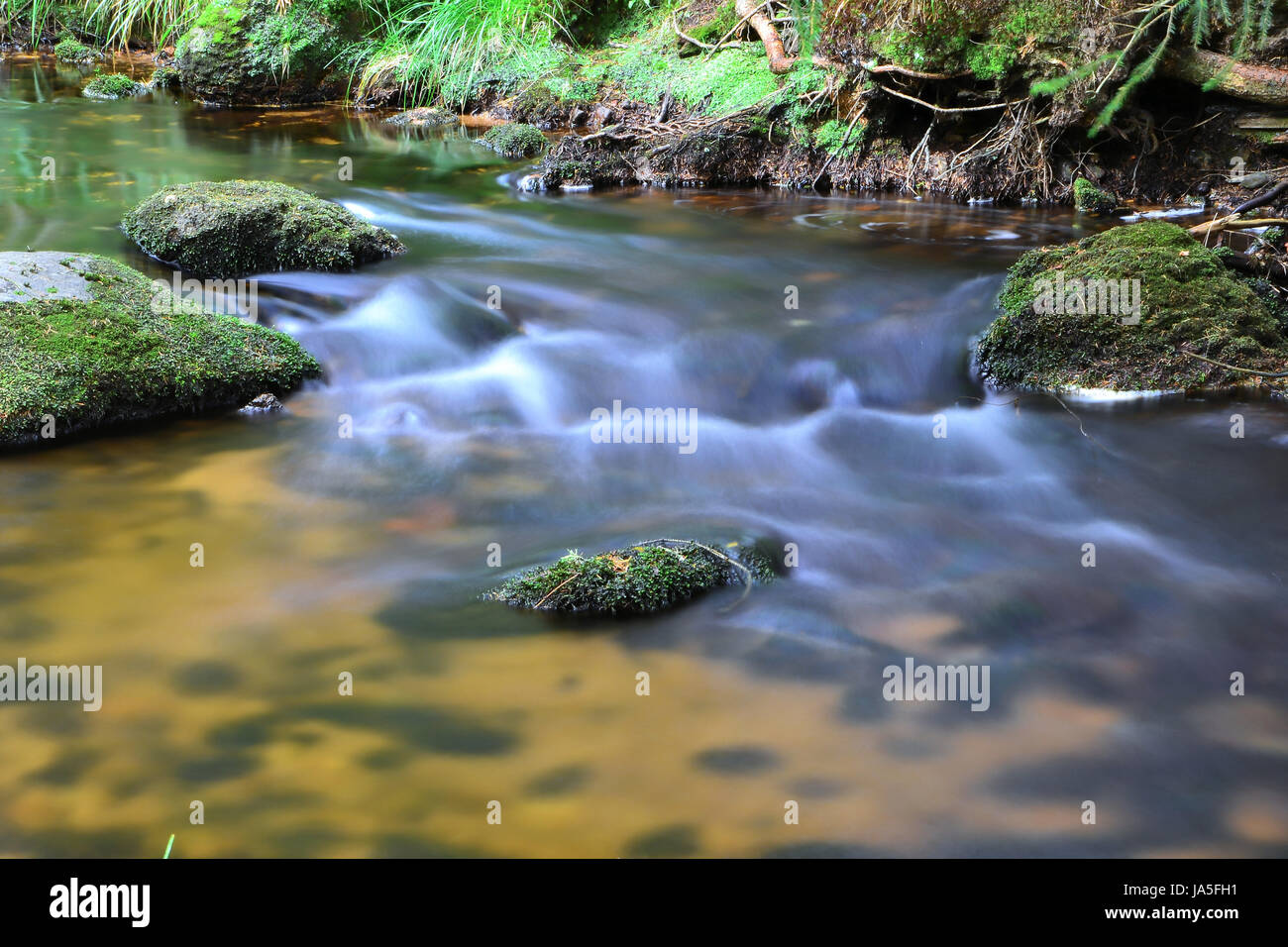 conservation of nature, stream, resin, river, water, nature, beautiful ...