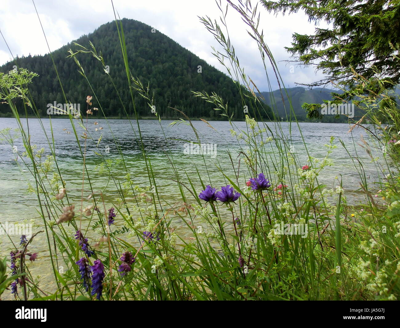Erlaufsee hi-res stock photography and images - Alamy