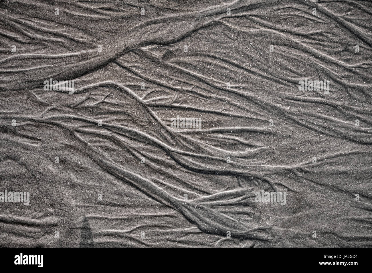Texture of wet sea sand with traces of water macro Stock Photo - Alamy