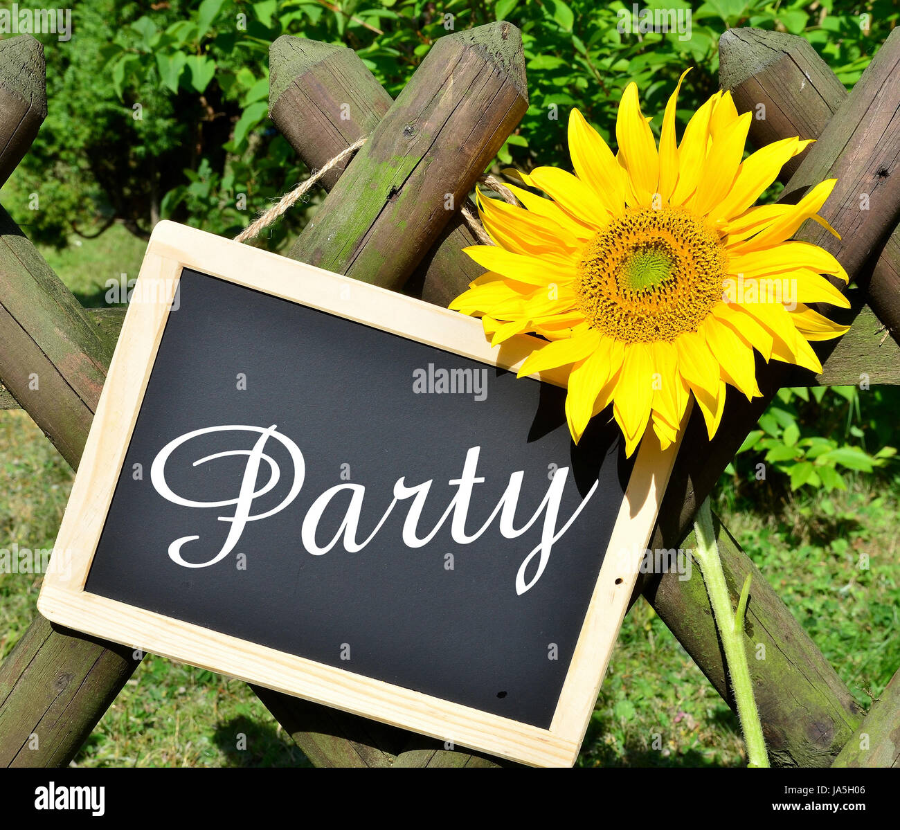 sign, signal, garden, flower, plant, summer, summerly, sunflowers, word ...