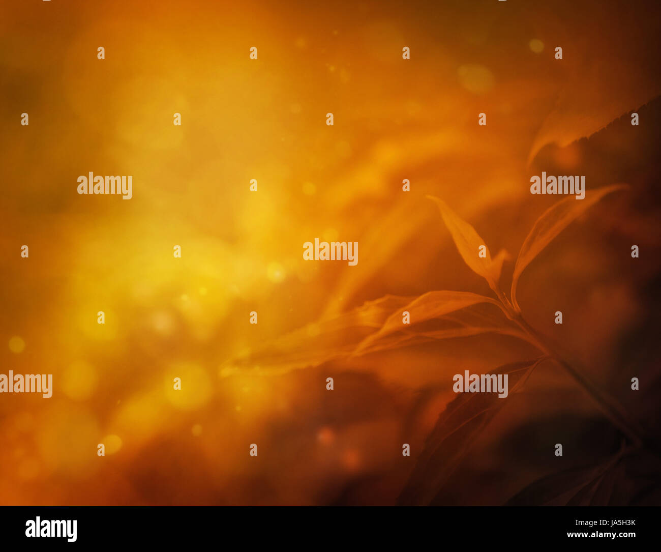 pastel, abstract, colors, colours, backdrop, background, nature, fall ...