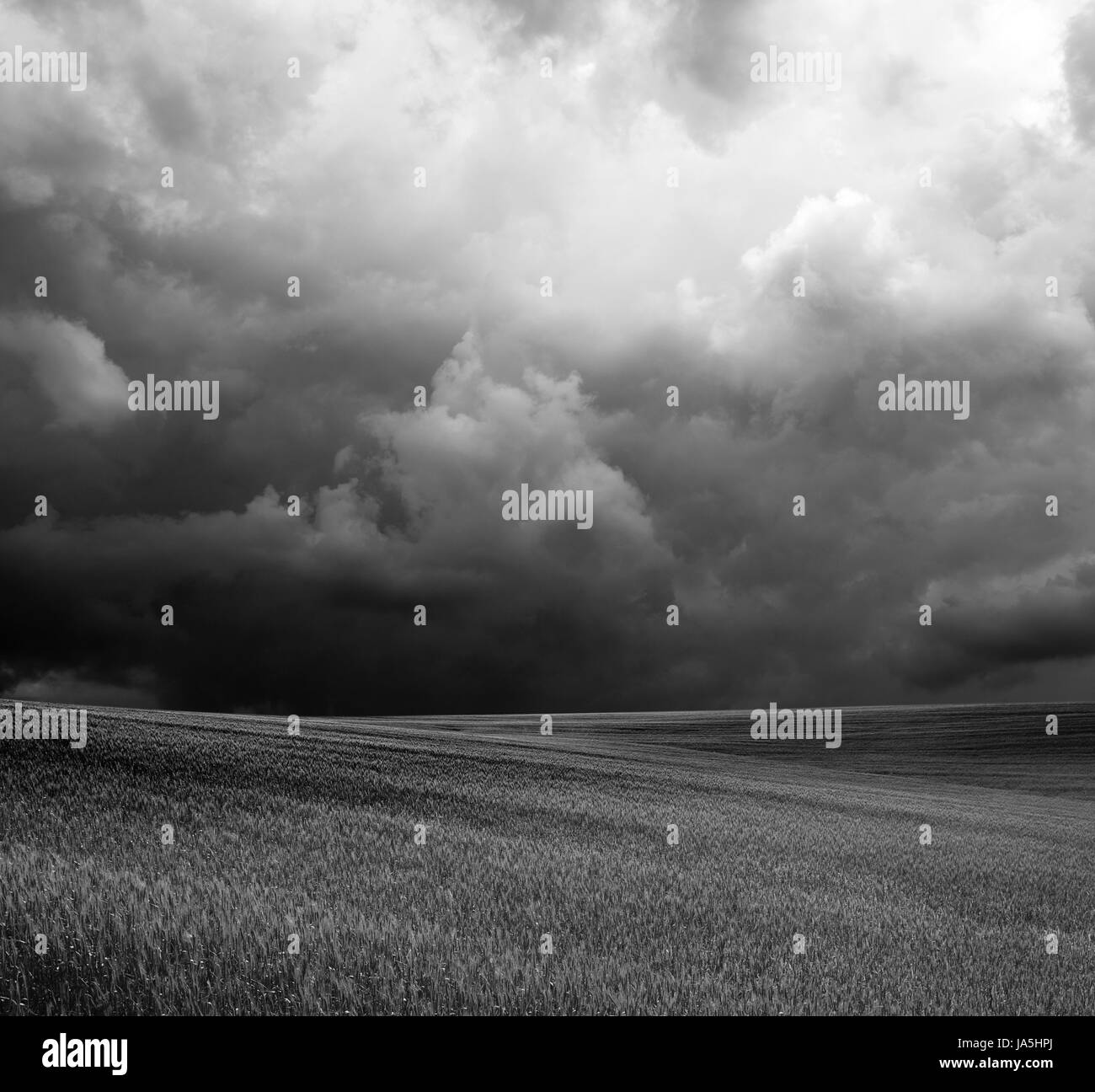 Beautiful heavens Black and White Stock Photos & Images - Alamy