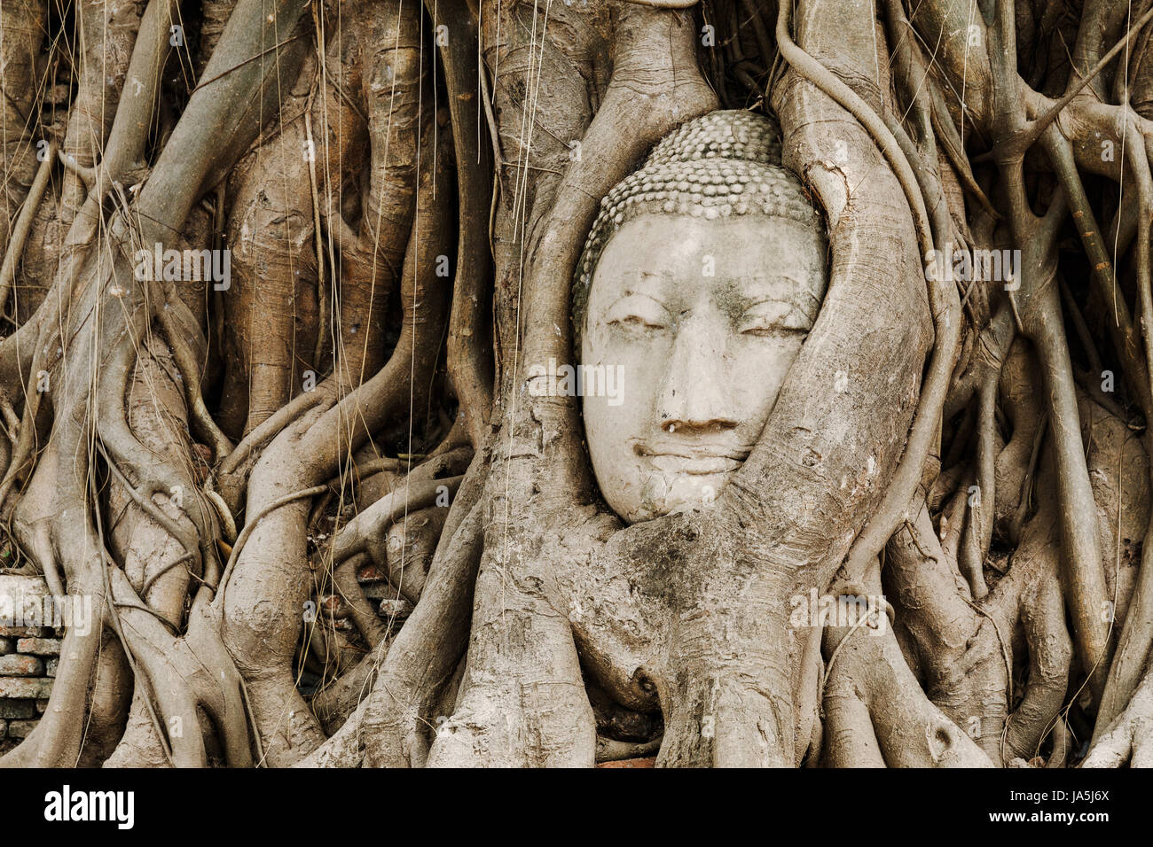 religious, temple, monument, culture, tree, statue, trunk, buddha ...