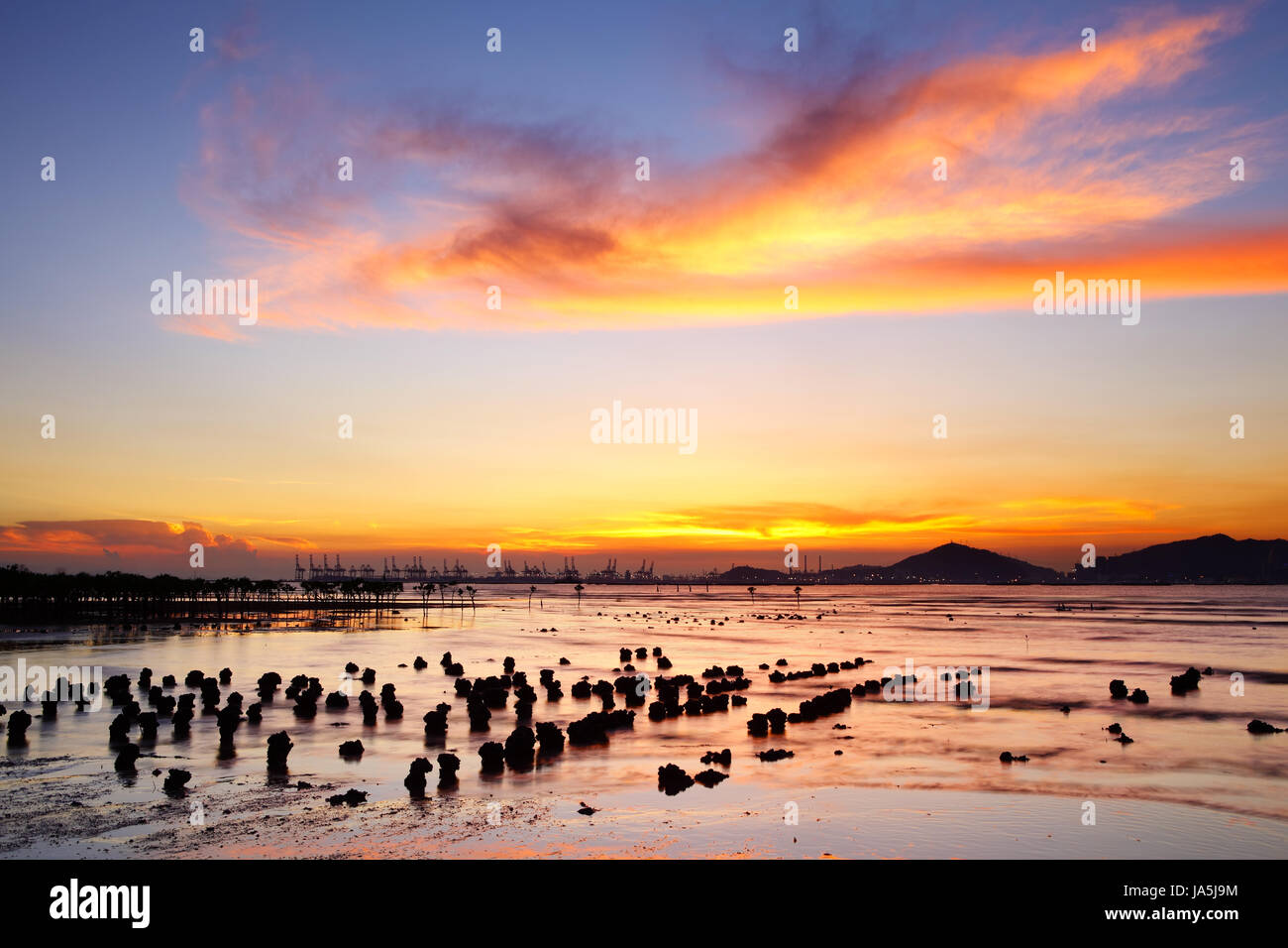 stone, sunset, beach, seaside, the beach, seashore, sunrise, rock, dawn ...