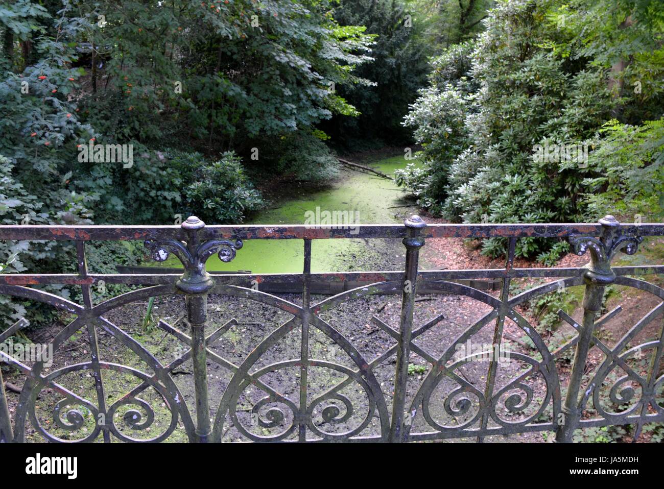 vegetation, piece, section, segment, part, area, landscape, scenery ...