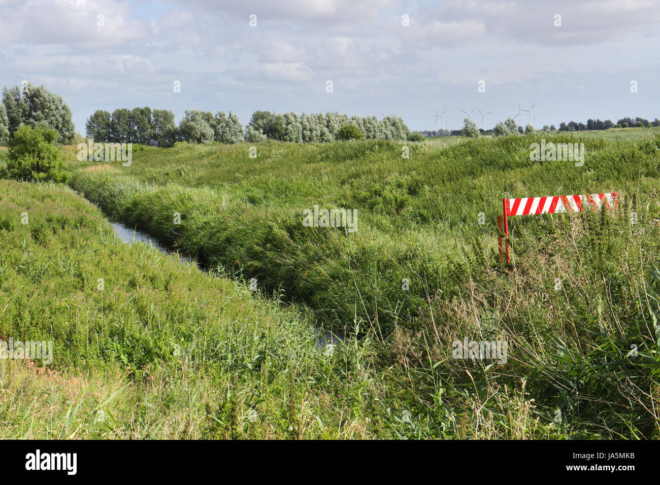 sign, signal, tree, trees, conservation of nature, bushes, coast, East ...