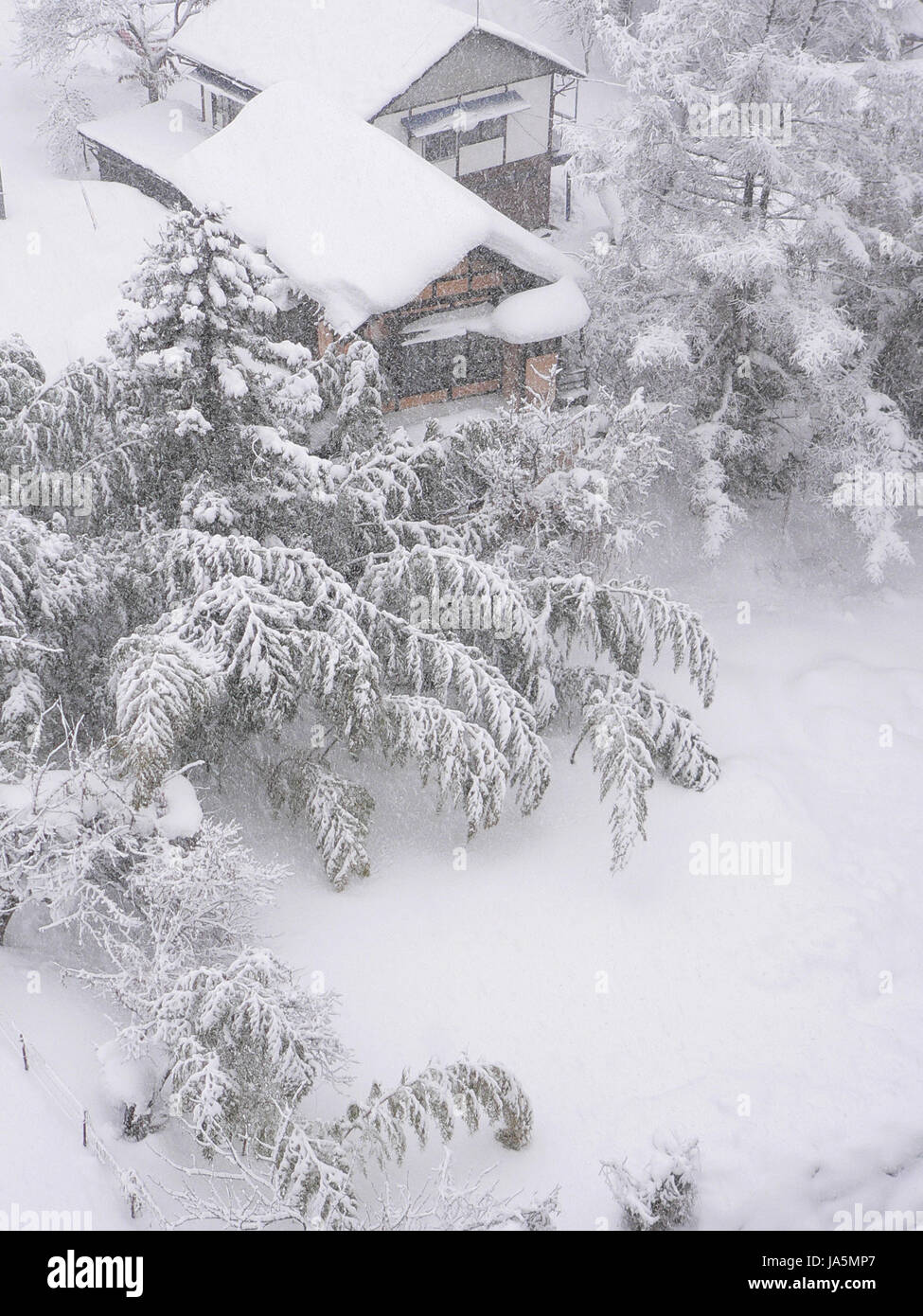 tree, mountains, garden, winter, window, porthole, dormer window, pane ...