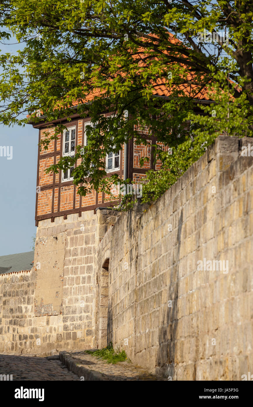 tower, green, branches, wall, city wall, watchtower, tower, historical ...