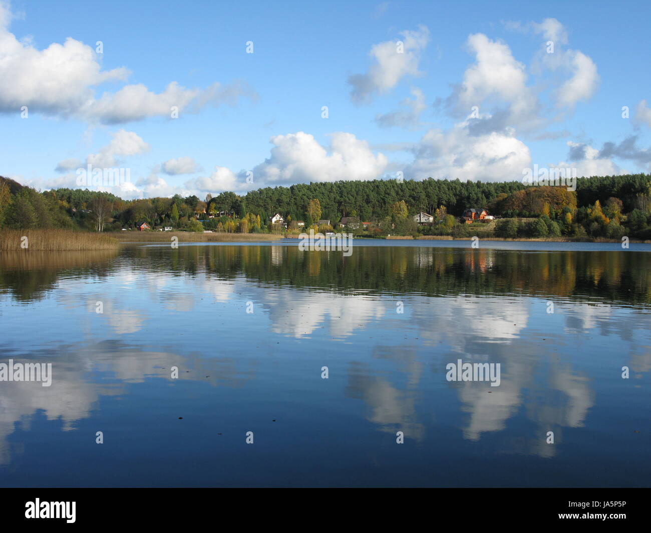 poland, seasons, place, idyll, sea scape, community, village, market ...