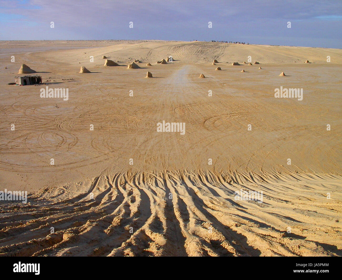 desert, wasteland, sands, sand, nature, life, exist, existence, living ...