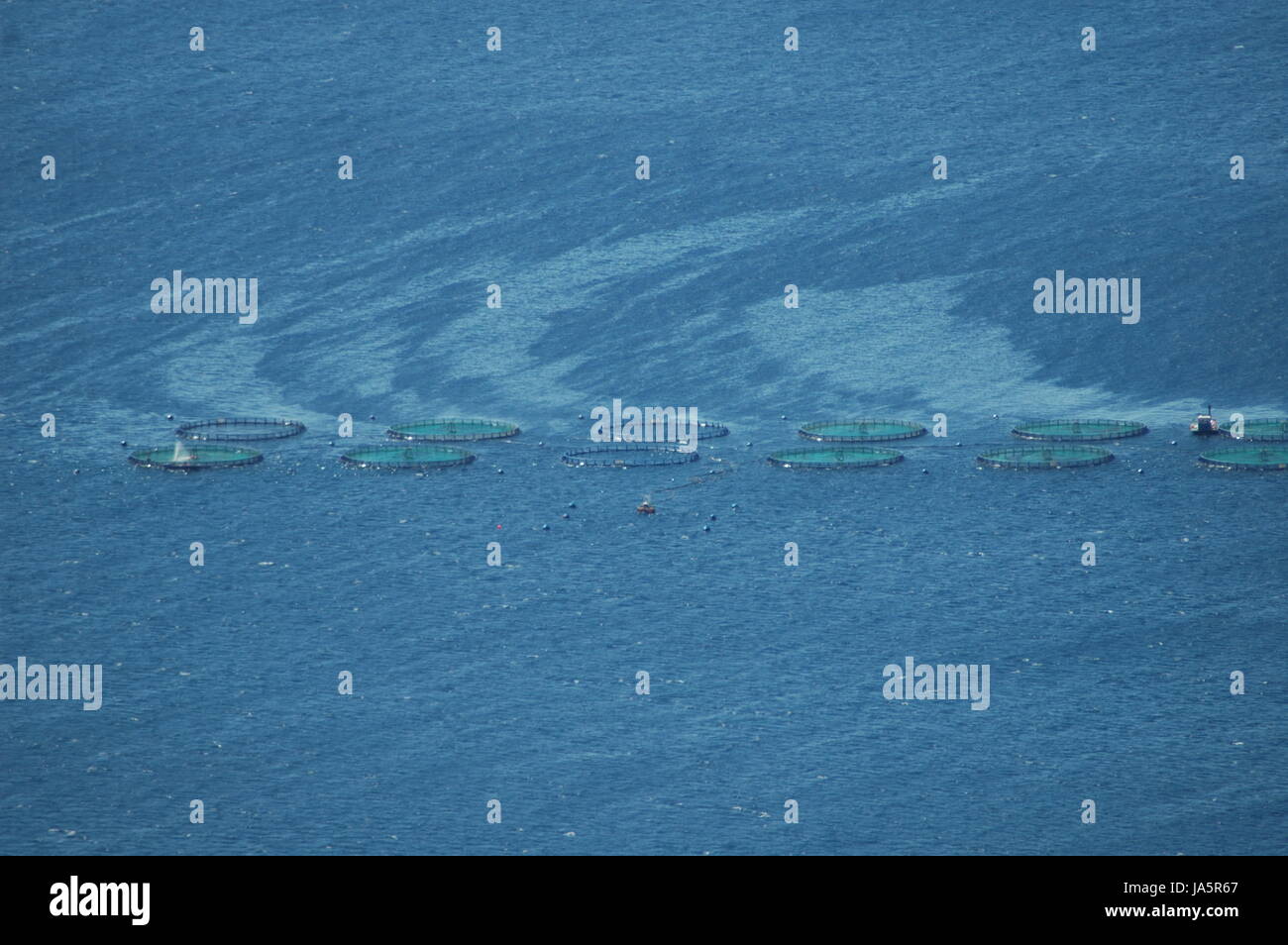 fish farming in the mediterranean - costa blanca Stock Photo - Alamy