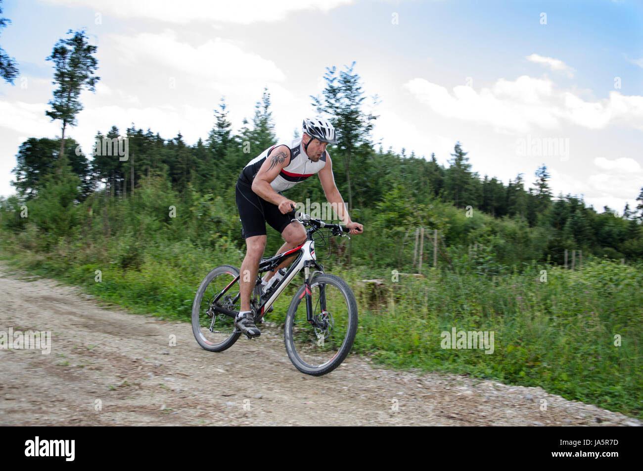 male, masculine, mountainbike, bike, bicycle, cycle, terrain, man ...