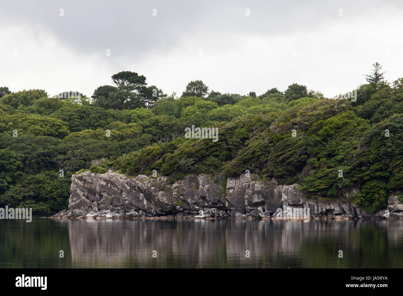 landscape in killarney national park in ireland Stock Photo - Alamy