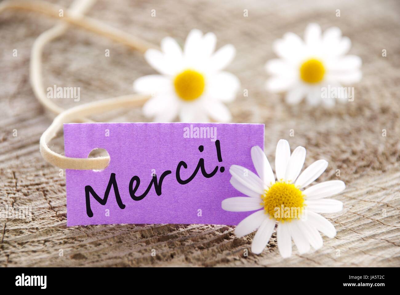 Sign french text merci means hi-res stock photography and images - Alamy