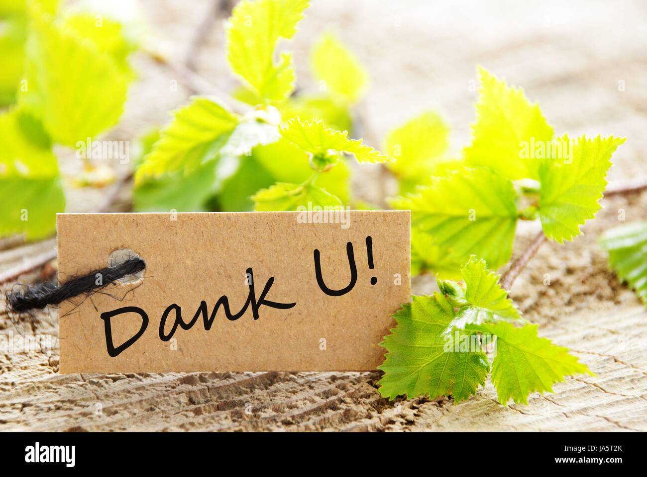 A Natural Looking Label With the Dutch Word Dank U Which Means Thanks ...