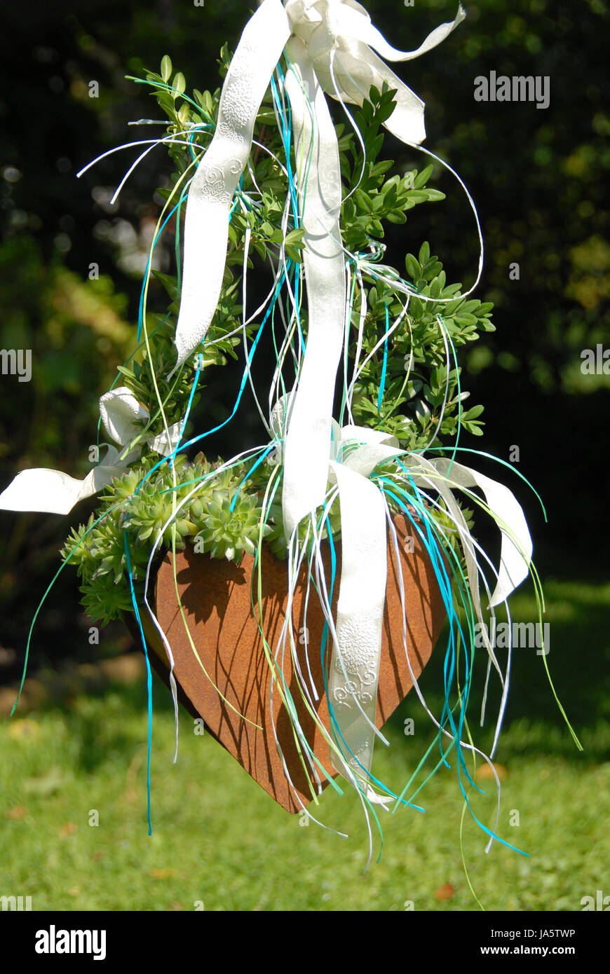 cordial, heart, flower, flowers, plant, gift, sheet metal, cordial ...