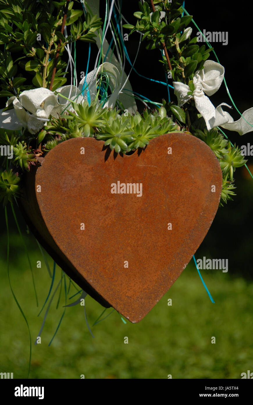 cordial, heart, flower, flowers, plant, gift, sheet metal, cordial ...