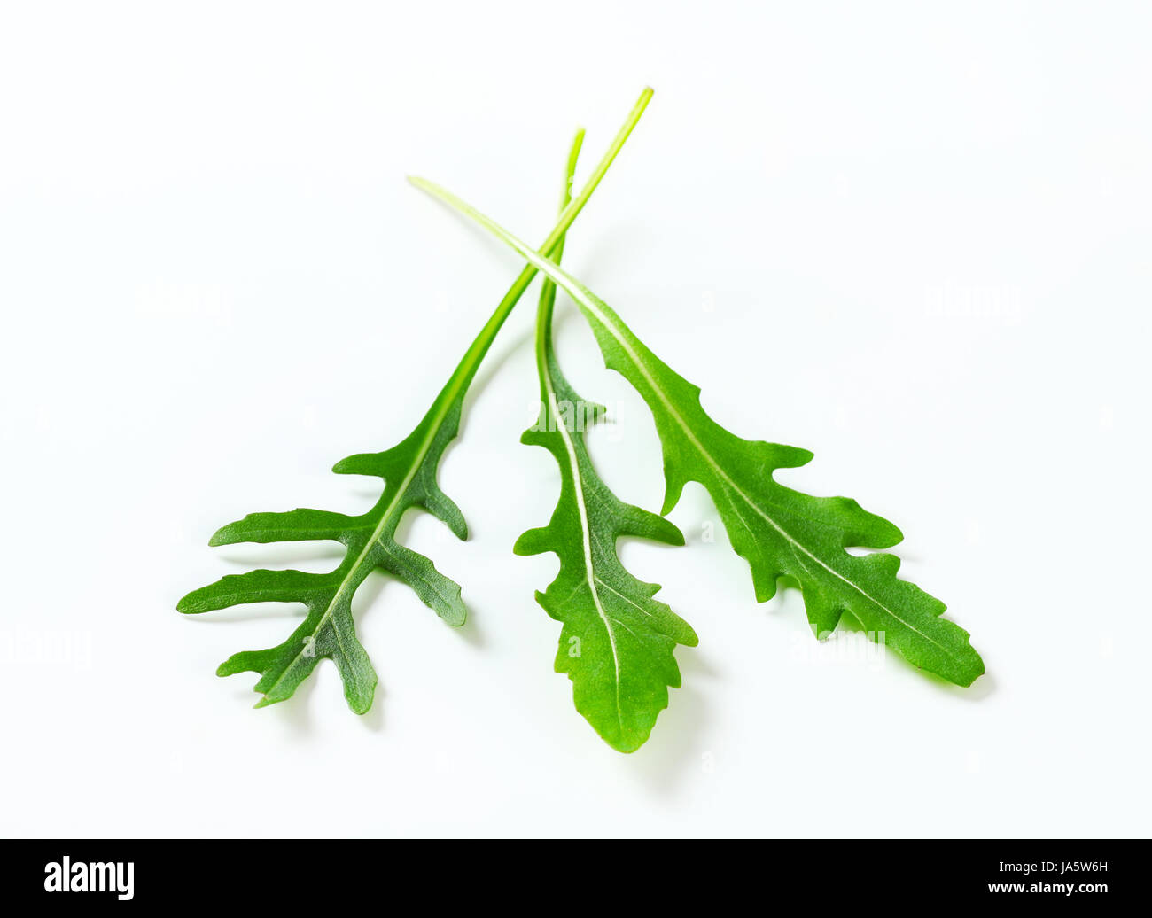 food, aliment, leaves, vegetable, raw, rocket, edible, herb, nobody ...