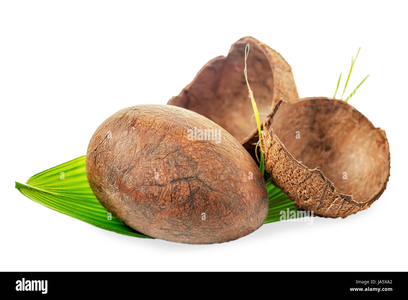 whole coconut with shell and green leaf, close up Stock Photo - Alamy