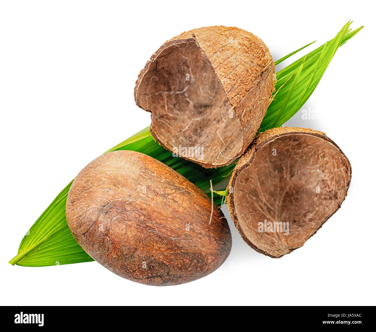 Coconut fruit shell husk hi-res stock photography and images - Alamy