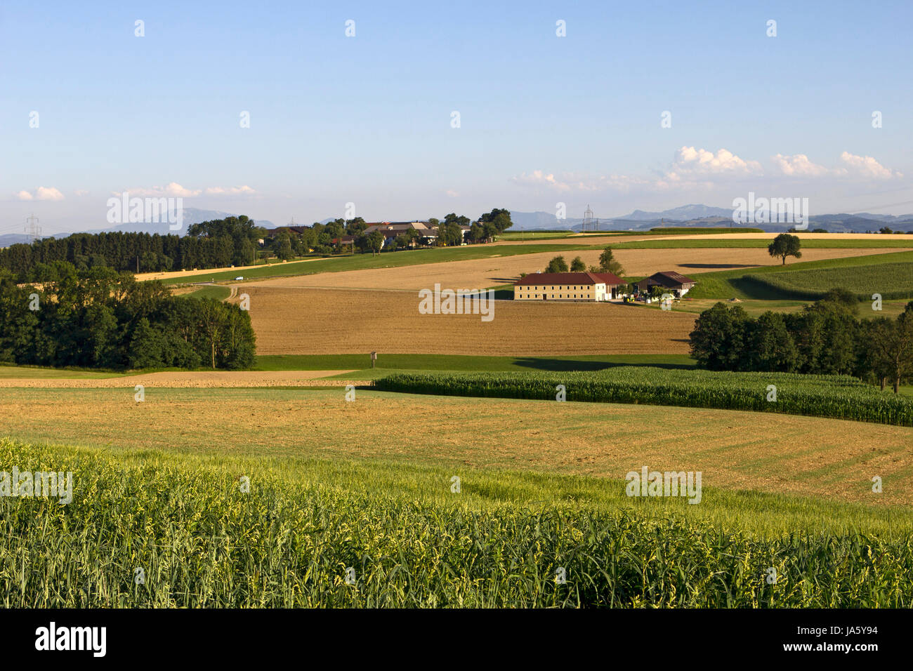 agriculture, farming, fields, farm, lower austria, culture landscape ...