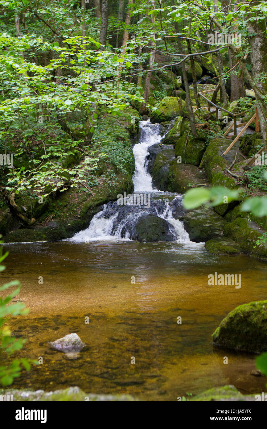 waterfall on a small stream Stock Photo - Alamy