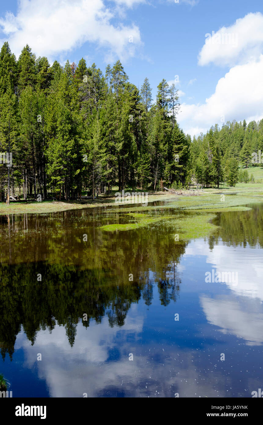 summer, summerly, america, Canyon, fresh water, lake, inland water ...