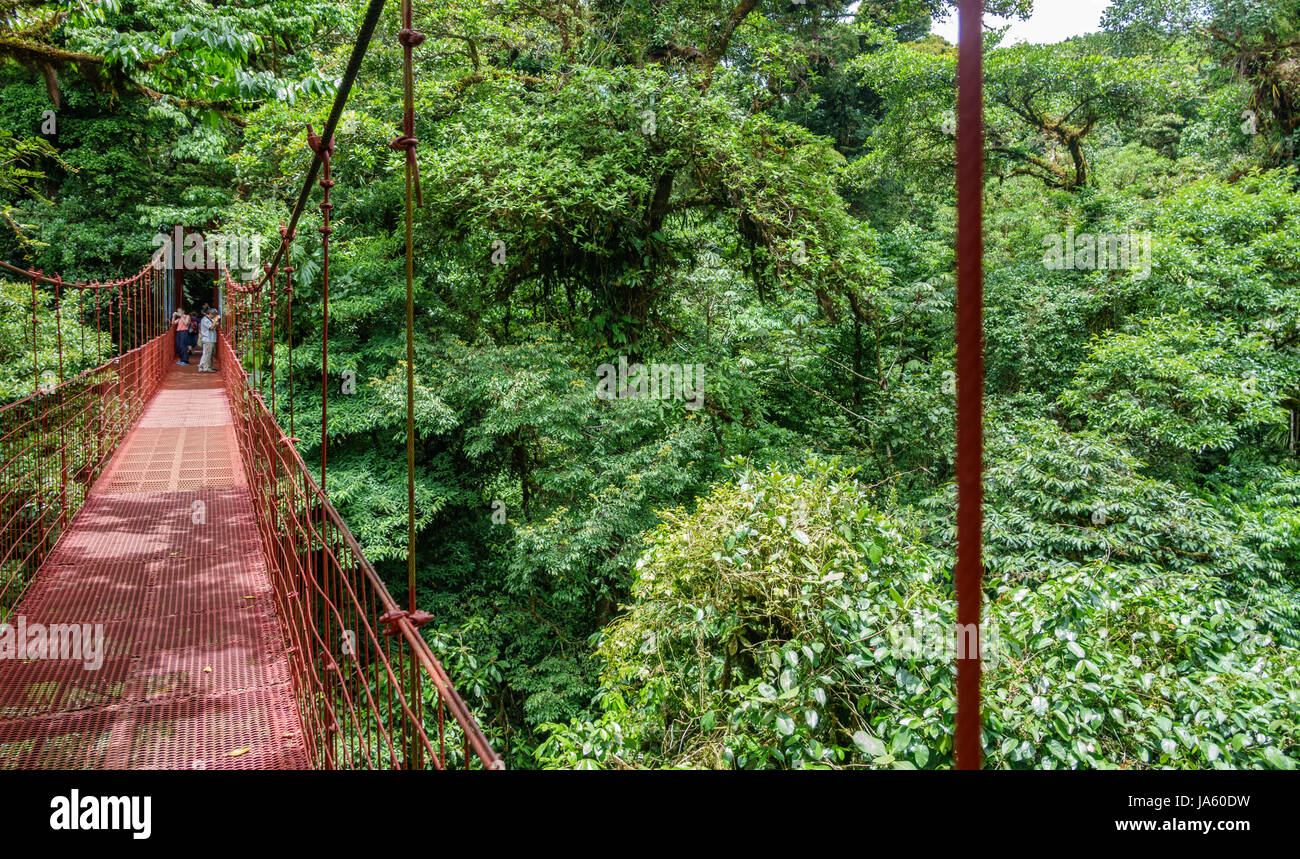 Bridge in Rainforest of Monteverde Stock Photo - Alamy