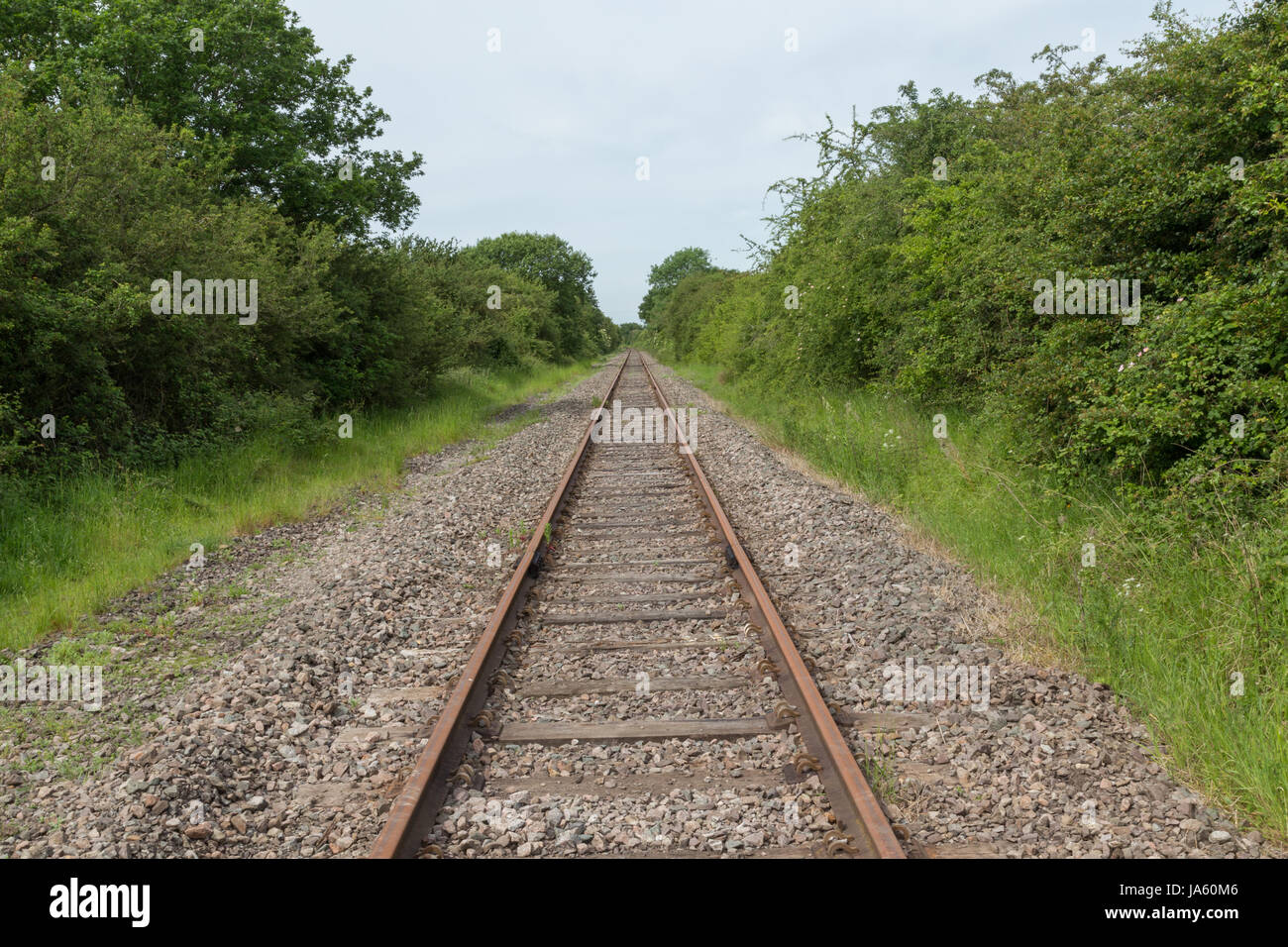 A landscape picture of a straight railway track with green trees on ...
