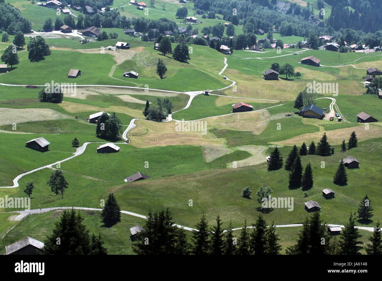 mountains, green, alps, hike, go hiking, ramble, switzerland, meadows ...